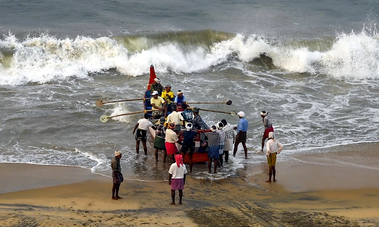 Mangaluru and Udupi report strong fish catch despite fuel supply issues ...