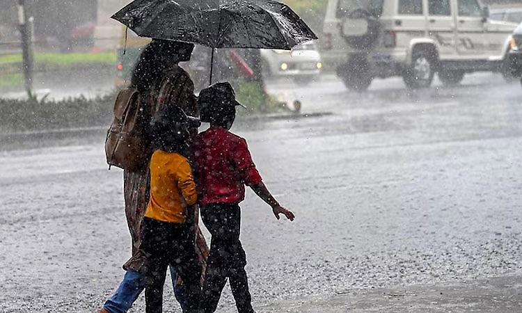 Monsoon rains gaining momentum in Karnataka, IMD issues red alerts for ...