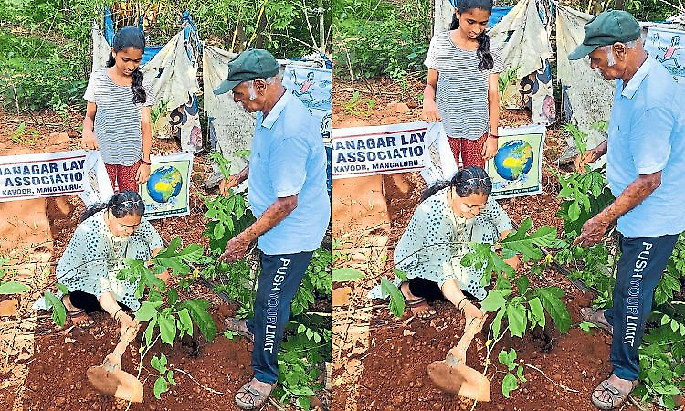 World Environment Day 2026: At 88, his passion for growing trees ...