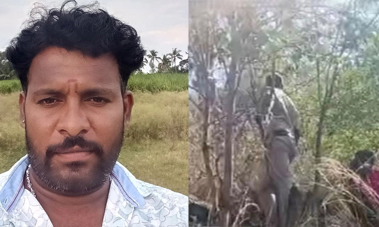 Hanur: ಮಹದೇಶ್ವರ ಬೆಟ್ಟಕ್ಕೆ ಪಾದಯಾತ್ರೆಗೆ ತೆರಳುತ್ತಿದ್ದ ವೇಳೆ ಚಿರತೆ ದಾಳಿಗೆ ...