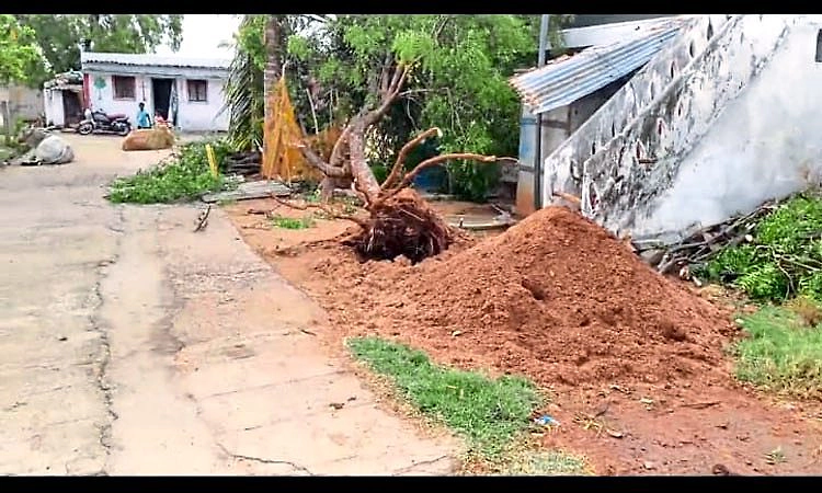 Yadagiri: ಧರೆಗುರುಳಿದ ಮರಗಳು, ಜಿಲ್ಲೆಯಾದ್ಯಂತ ಬಿರುಗಾಳಿ ಸಹಿತ ಮಳೆ | Udayavani ...